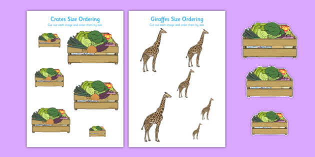Giraffes and Crates Size Ordering (teacher made)