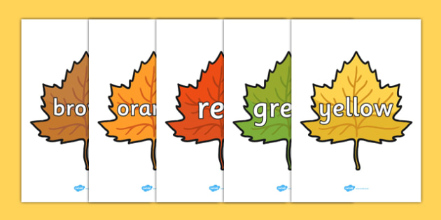 FREE! - Color Words on Autumn Leaves - Leaves, color display, color posters