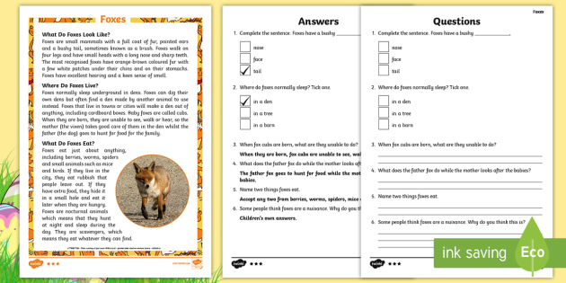 KS1 Differentiated Reading Comprehension Fox Activity