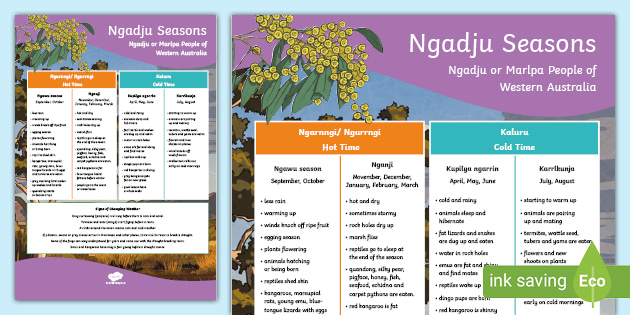 Aboriginal Ngadju Seasons Display Poster