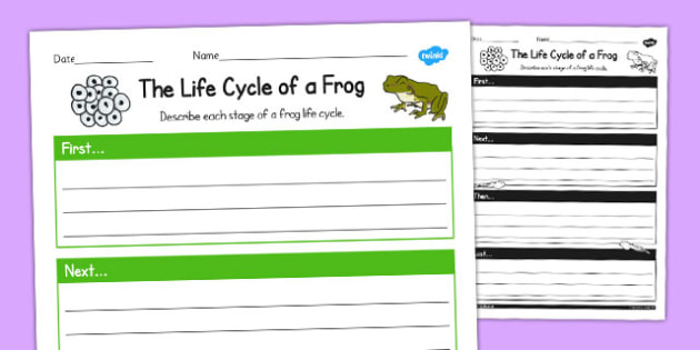 The Life Cycle of a Frog Writing Frame (teacher made)