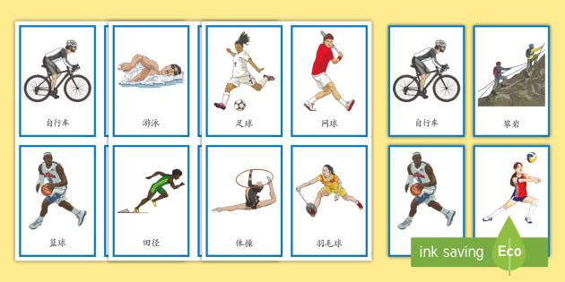 体育运动主题抽认卡