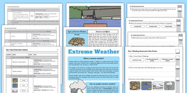 Year 4 Term 3 Non-Fiction Reading Assessment (teacher made)