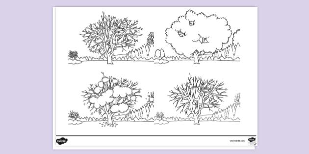 FREE! - Seasons Colouring Page for Kids (creat de profesori)