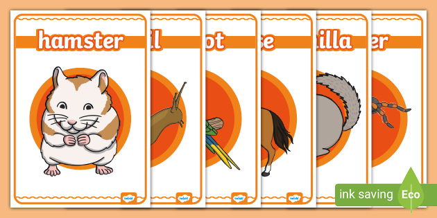 Pets Display Posters (teacher made)