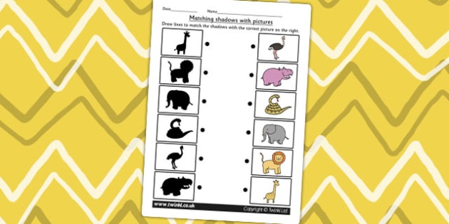 Safari Themed Shadow Matching Worksheet / Worksheet- sorting, order, sort