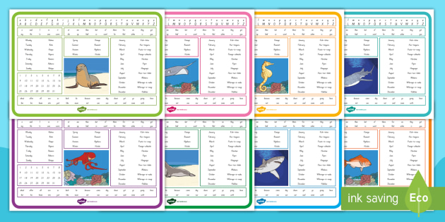 New Zealand Under the Sea Desk Mat (Teacher-Made)