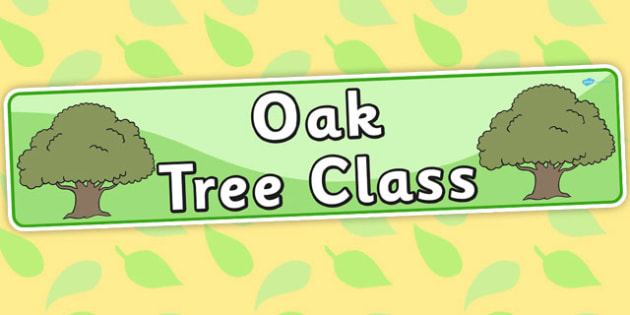 Oak Tree Themed Classroom Display Banner - trees, plants, header