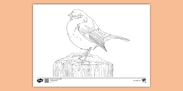 Birds In Winter Coloring Pages