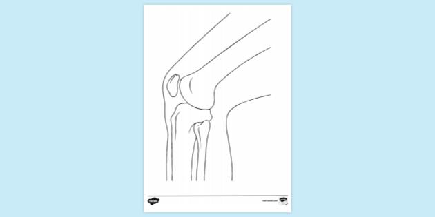 Hinge Joint Colouring | Colouring Sheets