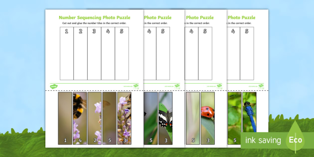 Minibeast Themed Number Sequencing Photo Puzzles - minibeasts