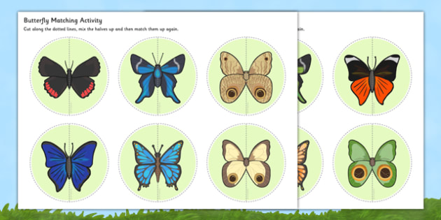 Butterfly Matching Activity - butterfly, matching, activity