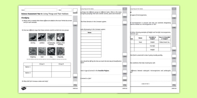Y6 Living Things and Their Habitats End of Unit Science Assessment