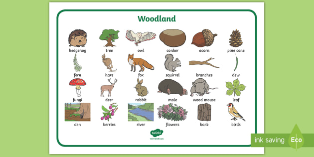 Woodland Word Mat | Twinkl Primary Resources (teacher made)