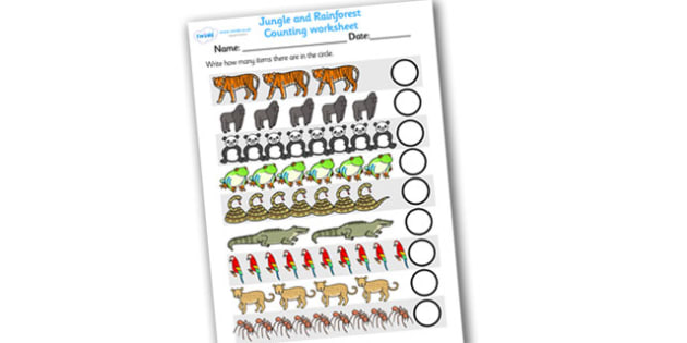My Counting Worksheet (Jungle & Rainforest) (teacher made)