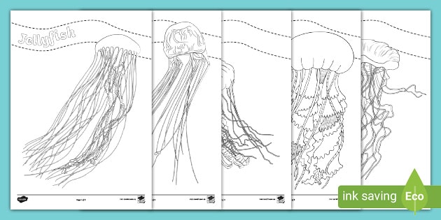 Jellyfish Colouring Sheets (teacher made)