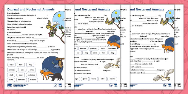 Diurnal Animals | Diurnality | Diurnal and Nocturnal Definition