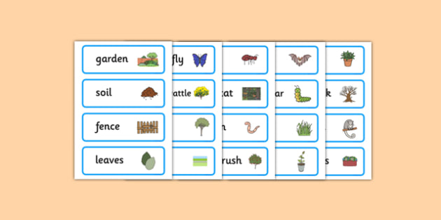Backyard Habitat Word Cards
