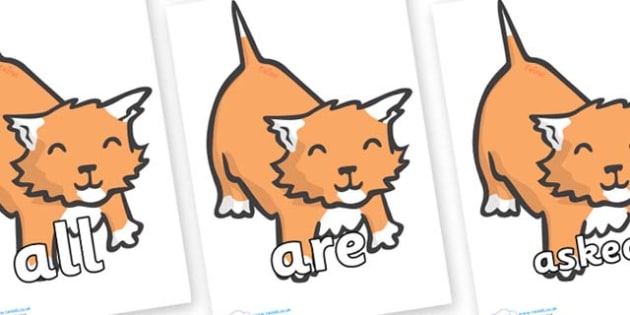 FREE! - Tricky Words on Kittens (Teacher-Made)