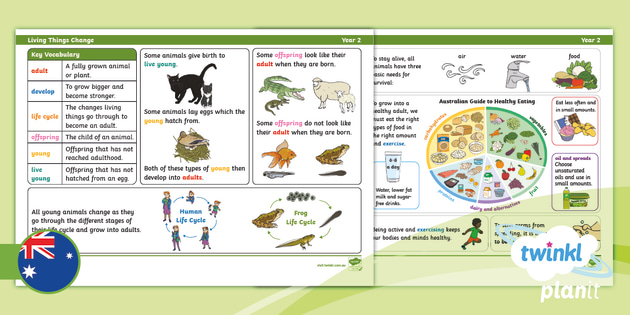 Year 2 Science Living Things Change Knowledge Organiser