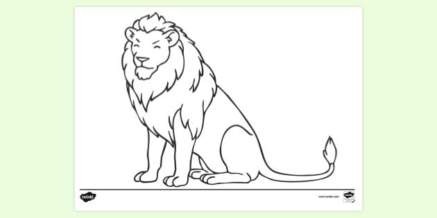 FREE! - Sitting Lion Colouring Sheet | Colouring Sheets