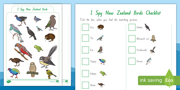 I Spy New Zealand Birds (teacher made)