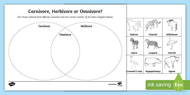 Sorting Venn Diagrams | twinkl.com.au