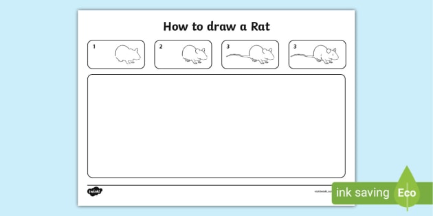 How to Draw a Rat