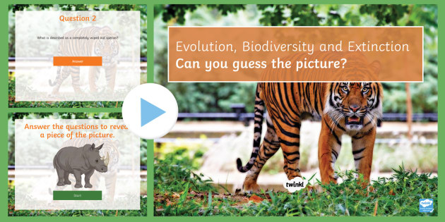 Biodiversity, Extinction and Evolution Quiz | Beyond