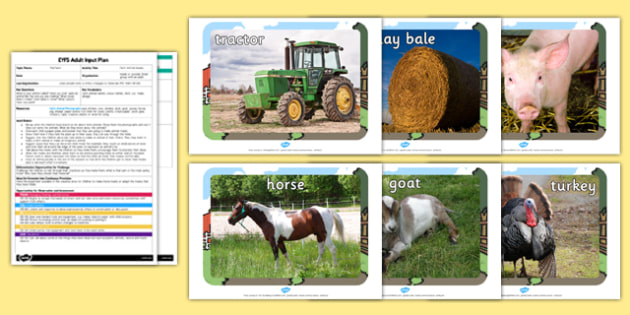 Farm Animal Masks EYFS Adult Input Plan and Resource Pack- plan, targets