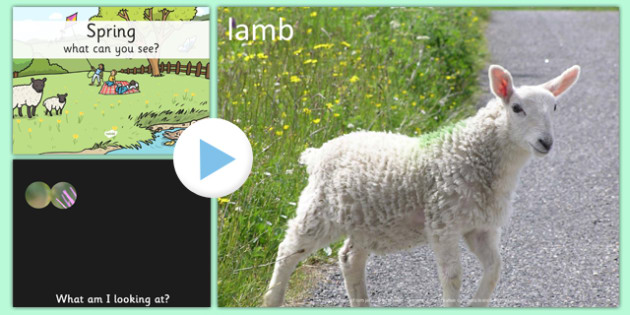 Spring What Can You See? PowerPoint