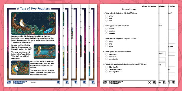Year 2 A Tale of Two Feathers Differentiated Reading Comprehension Activity