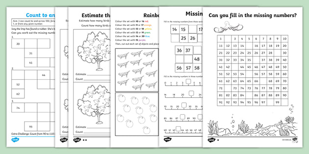 Maths First/Second Class Counting Pack 2 (teacher made)