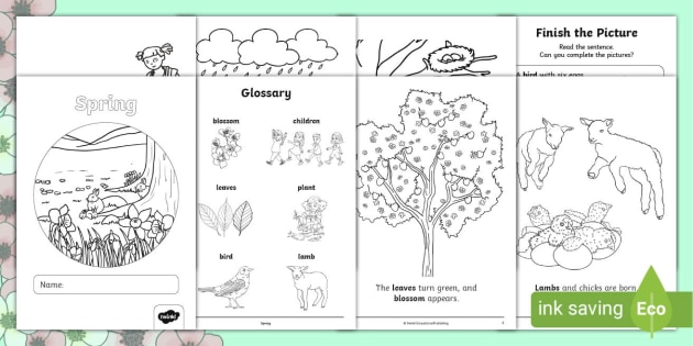 Read and Colour Non-Fiction Booklet: Spring (teacher made)