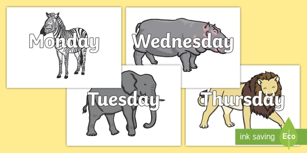 Day of the Week on Safari Animals