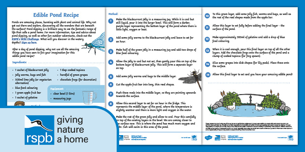 FREE! - Edible Pond Recipe (Ages 5 - 7) (teacher made)