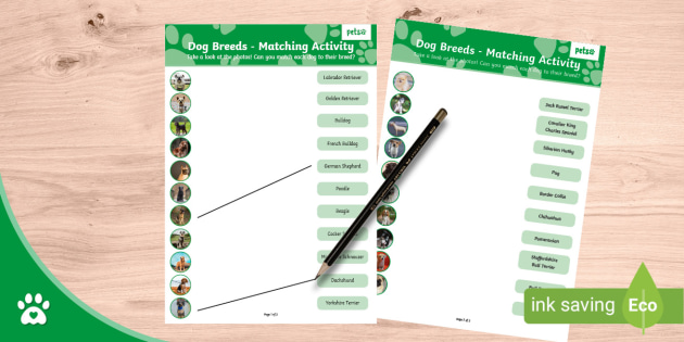 Which Dog Breeds Is This? - Dog Breed Matching Activity