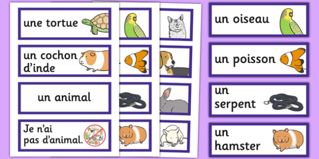 French Pets Word Cards (teacher made)