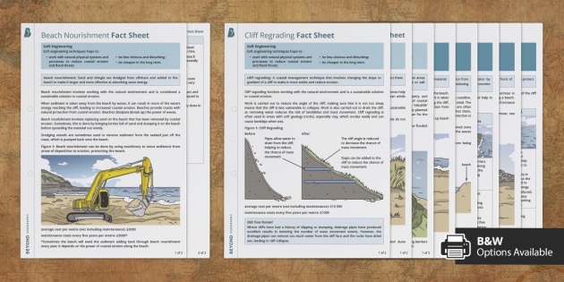 Coastal Management Strategies | twinkl.com.au
