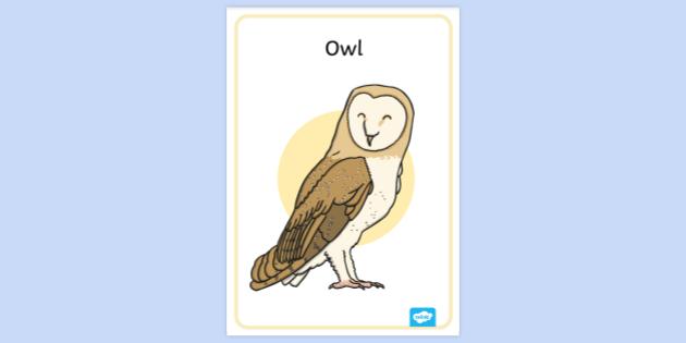 FREE! - Owl Poster | Display Poster | Primary Resources | Twinkl