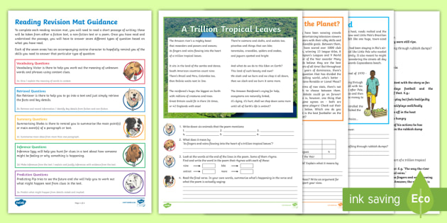 Y5 Reading 3 Revision Activity Mat Pack (teacher made)
