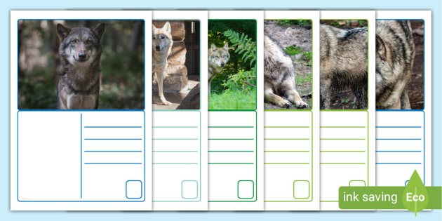 FREE! - Wolf Postcards (teacher made)
