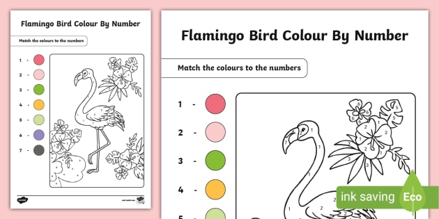 FREE! - Flamingo Bird Colour by Number (teacher made)