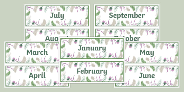 Months of the Year Cards | twinkl.com.au