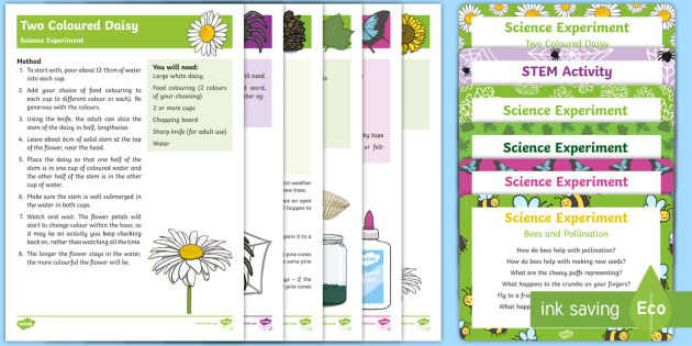 EYFS Forest and Woodland Science Experiments Resource Pack