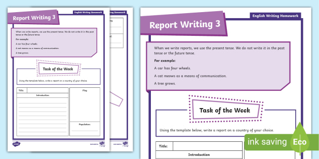 English Writing Homework Report 3 3rd/4th Class