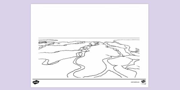 Everglades Colouring Sheet | Colouring Sheets (Teacher-Made)