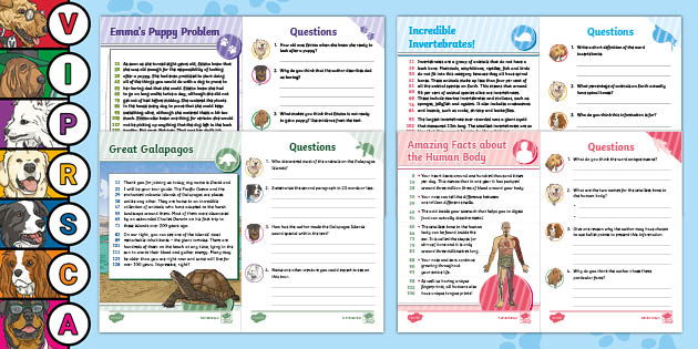 Living Things: Animals | twinkl.com.au