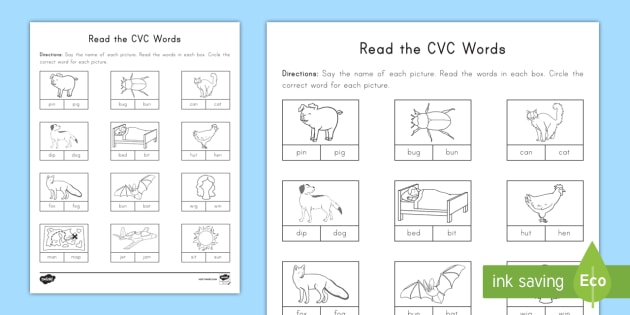 Read the CVC Words Activity (teacher made)