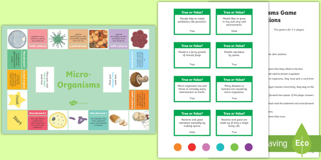 Micro-Organisms Board Game (teacher made)